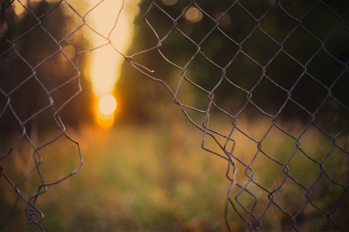 A Quick Guide to Repairing Wire Fencing - HN Magazine
