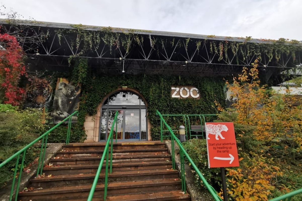 Guaranteed Fun At Edinburgh Zoo - HN Magazine