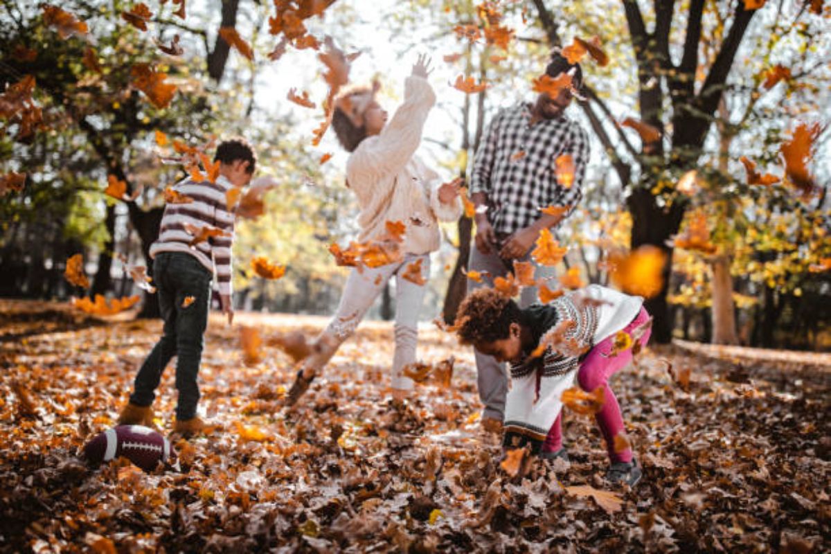 How To Enjoy The Countryside - HN Magazine