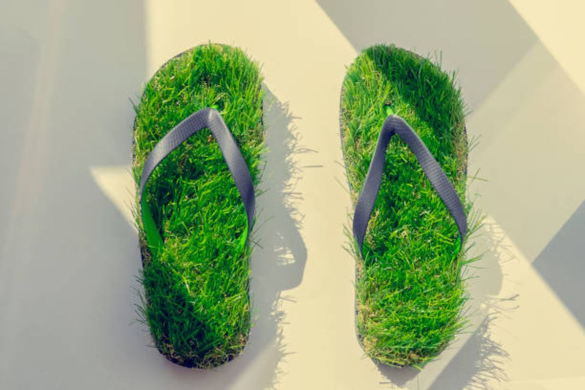 What Are the Best Eco-Friendly Shoes Made of ? - HN Magazine