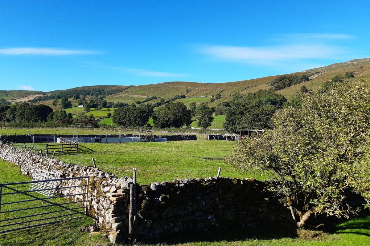 Beckside at Ribba Hall Farm is a Yorkshire Paradise - HN Magazine