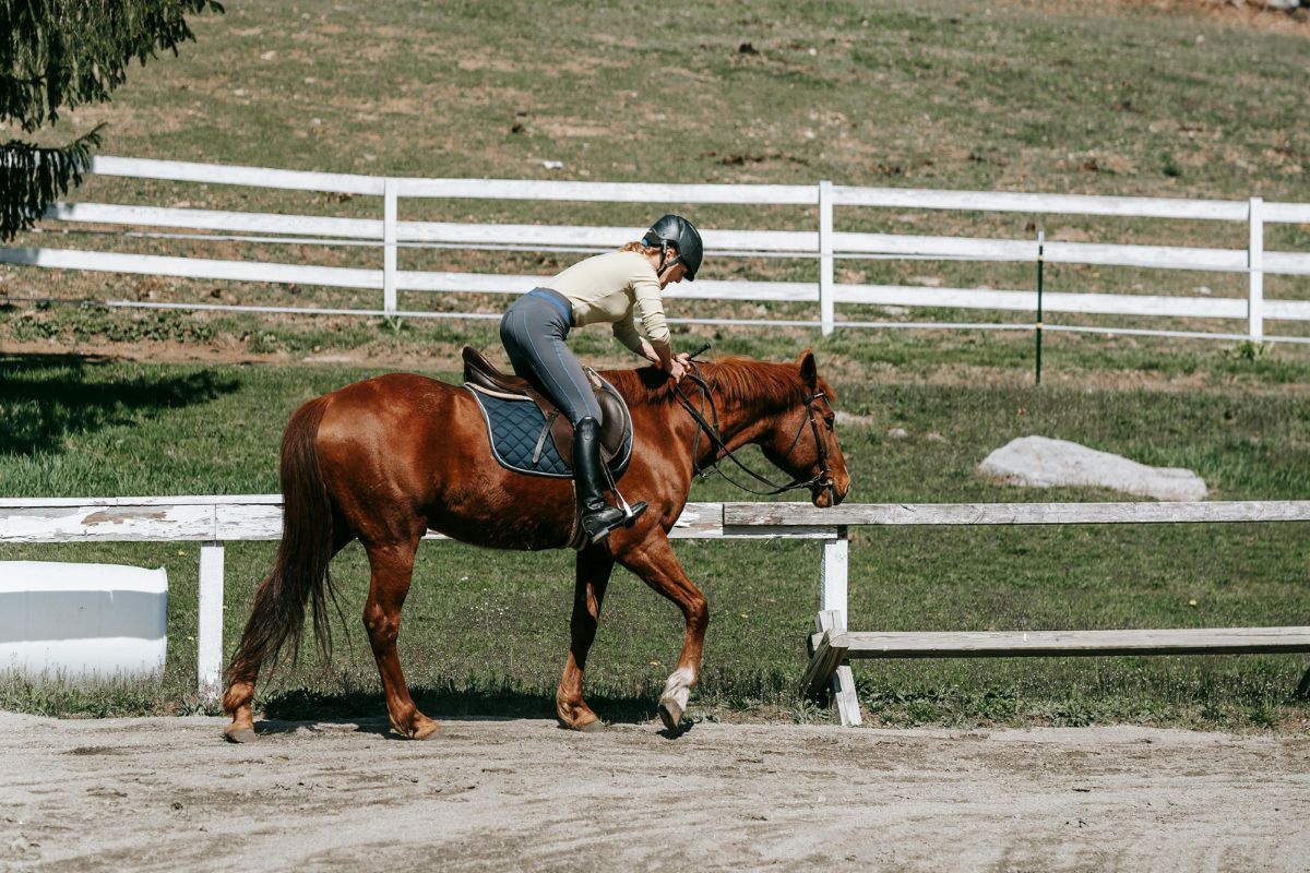 Long vs Short Horse Riding Boots - Which Are Best for You? - HN Magazine