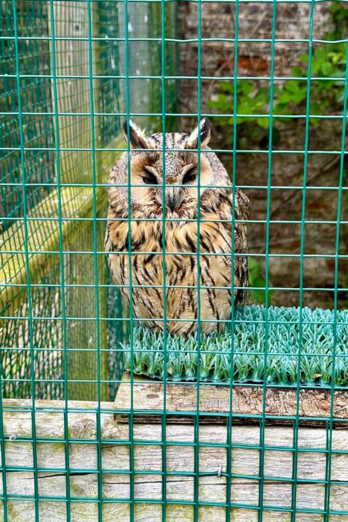 Paradise Found in Yorkshire at The Swinton Estate - HN Magazine