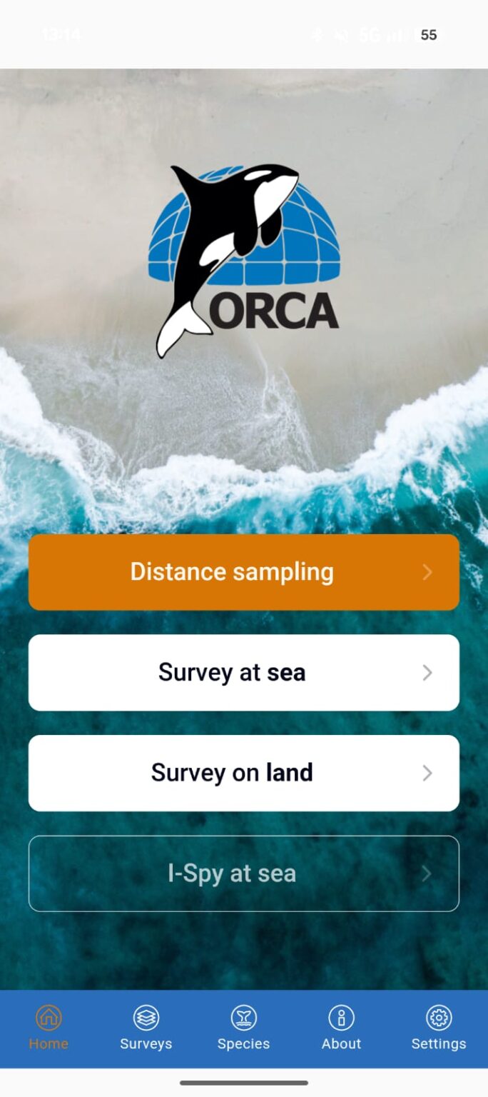 Ambassador Cruise Line Celebrates ORCA's 25th Anniversary on World ...